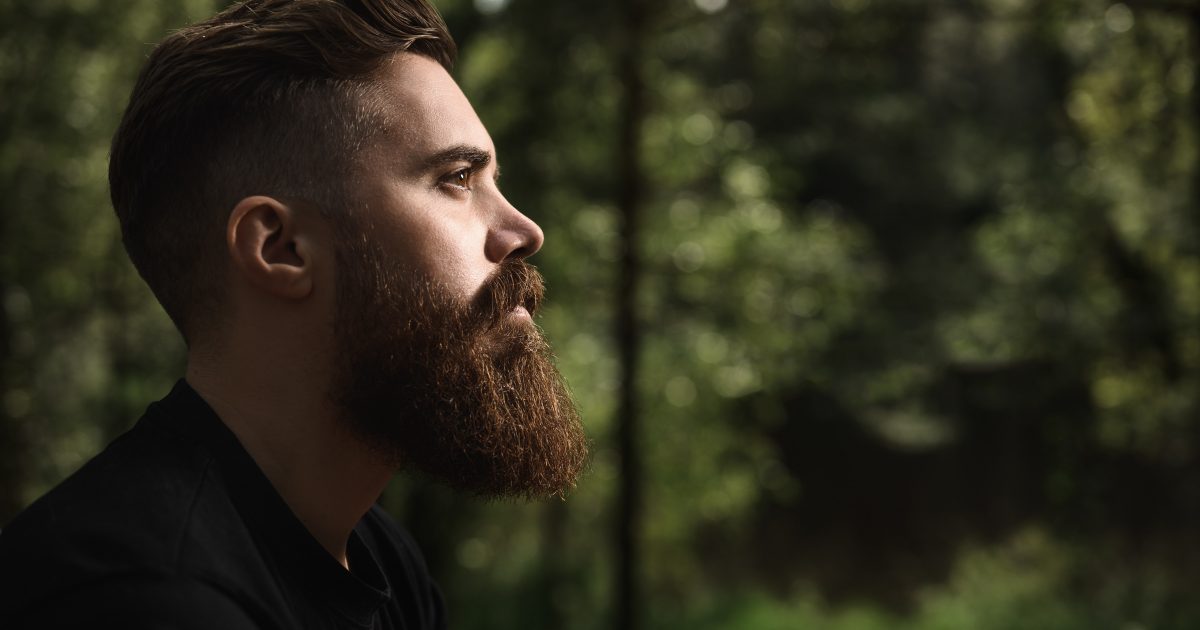 No more dandruff in your beard | Mr Bear Family
